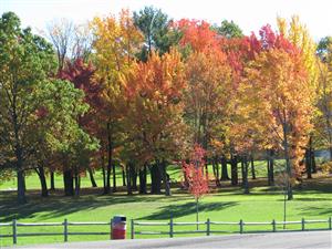 Vestal Recreation Department: Online Registration by MyRec.com ...